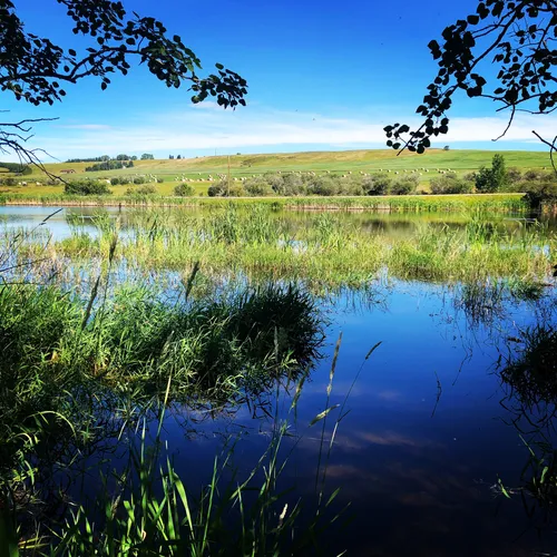 10 Best Trails and Hikes in Rocky View County | AllTrails