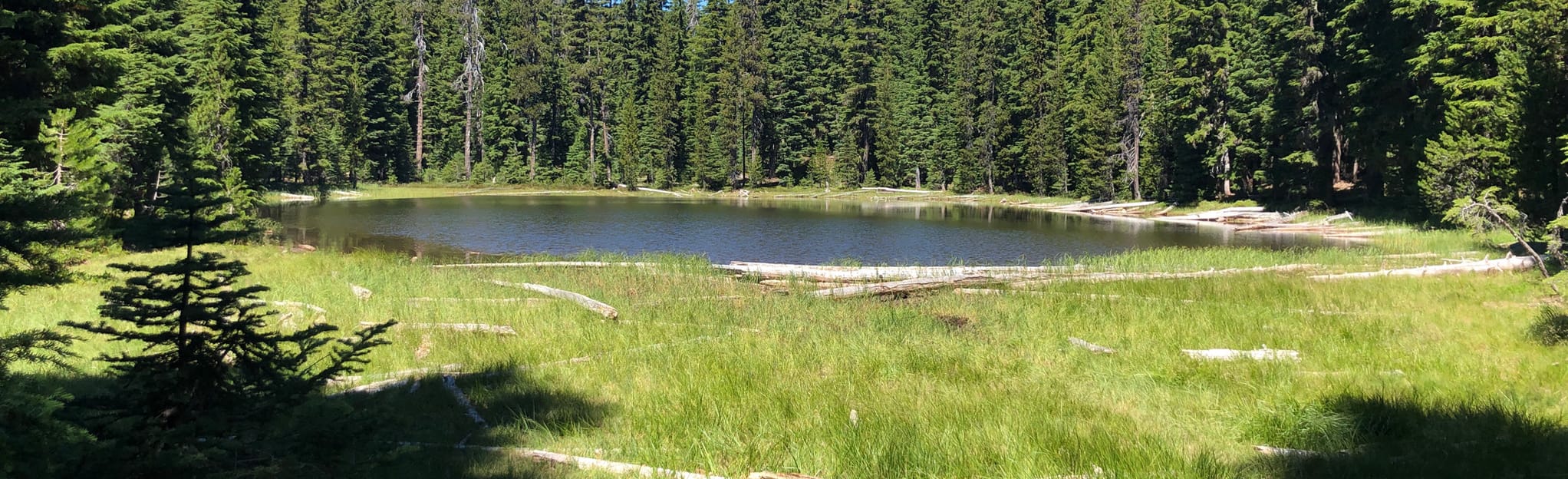 Nash Lake via Mirror Lakes Trail, Oregon - 7 Reviews, Map | AllTrails