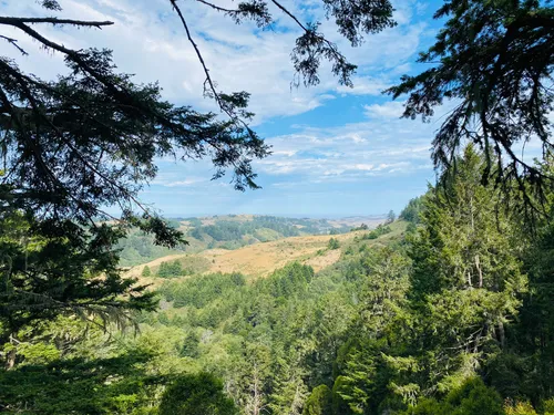 10 Best Hikes and Trails in Butano State Park | AllTrails