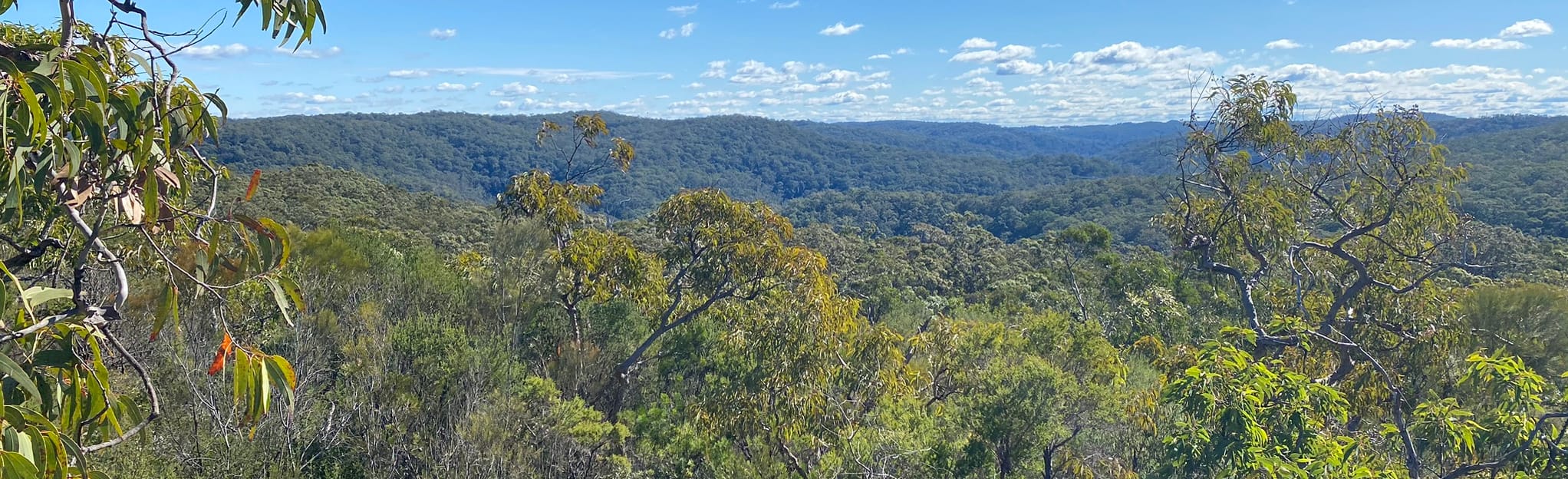 Girrakool Loop Track, Piles Creek, Thommos and Woy Woy Road Circular ...