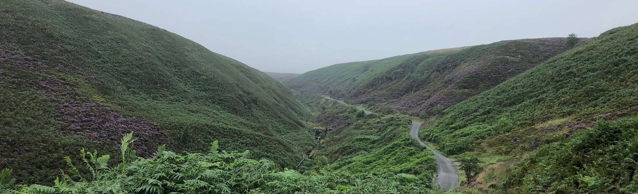 Dane Valley Way Circular, Derbyshire, England - 16 Reviews, Map | AllTrails