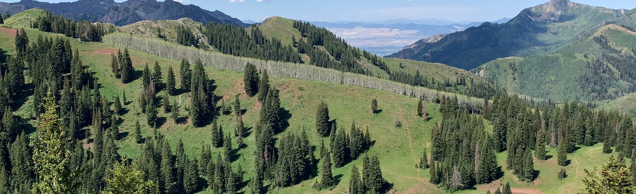 Beartrap Fork and Desolation Lake Trail: 80 Reviews, Map - Utah | AllTrails