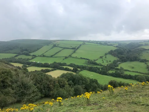 Best Cave Trails in Exmoor National Park | AllTrails