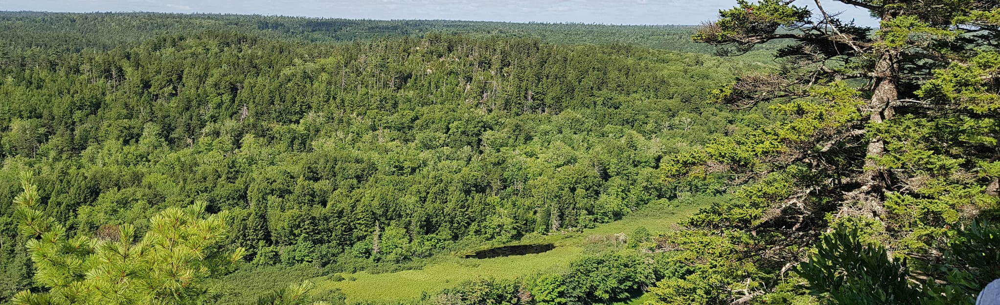 North Granite Ridge Trail, Nova Scotia, Canada - 106 Reviews, Map ...