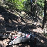 Manastash Ridge Trail, Washington - 10 Reviews, Map | AllTrails