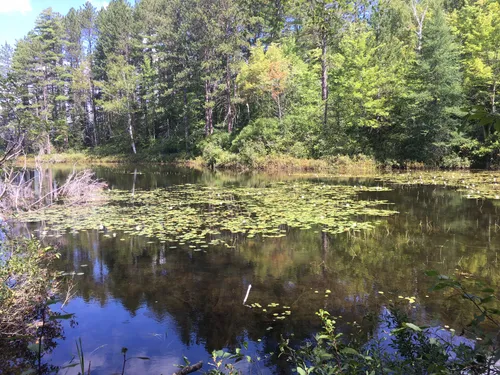 Best Views Trails in Island Pond | AllTrails