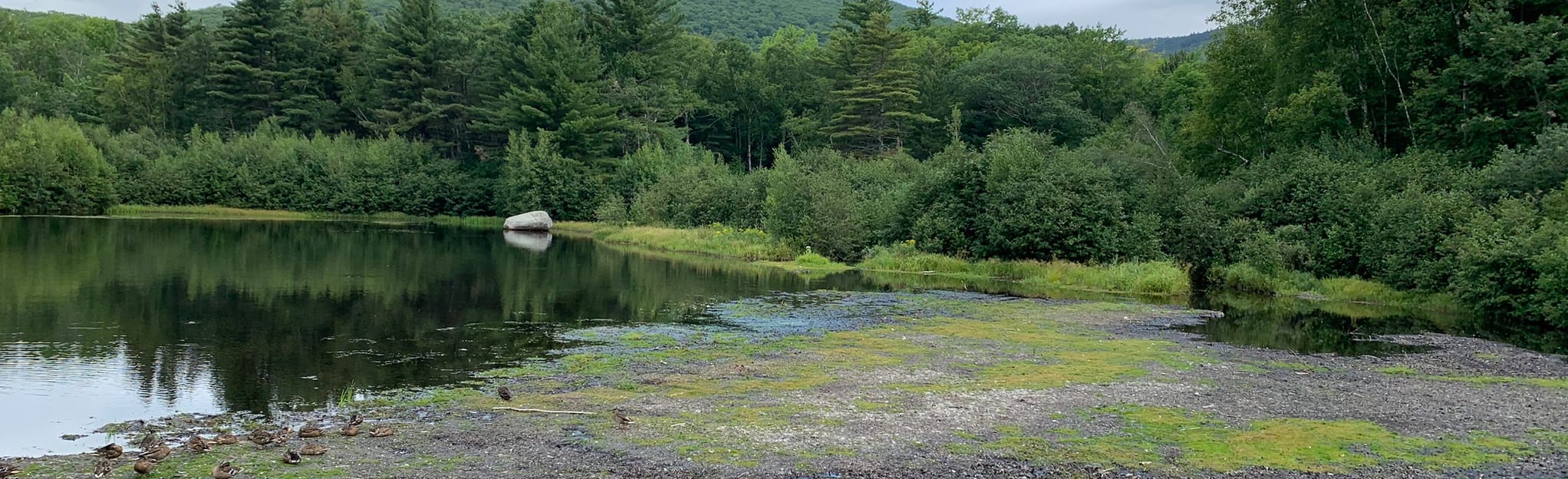 Mount Roberts and Faraway Mountain Loop, New Hampshire - 51 Reviews ...