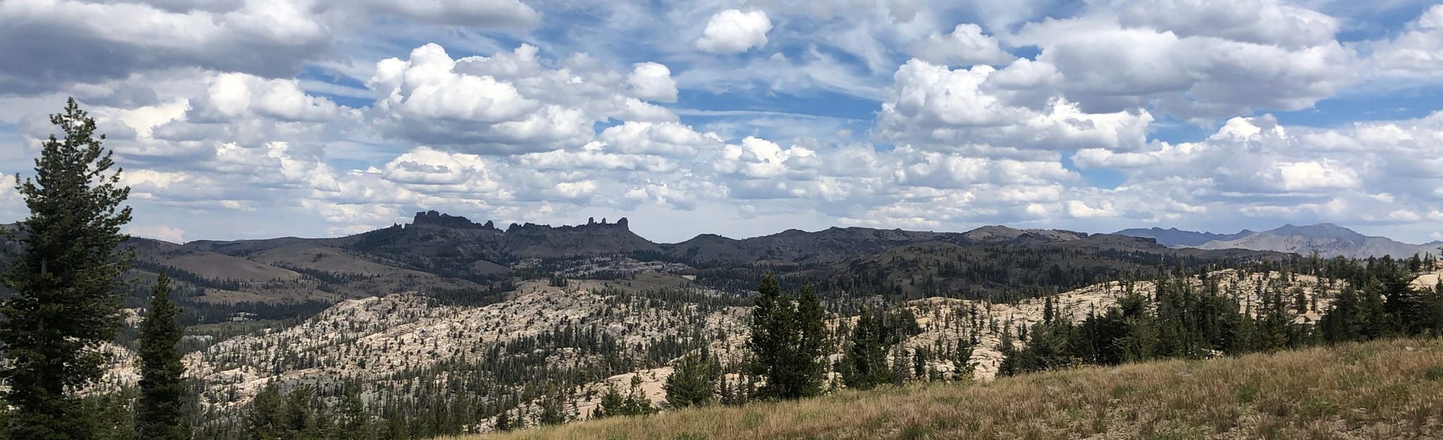 Y Meadow Lake Trail: 161 Reviews, Map - California | AllTrails