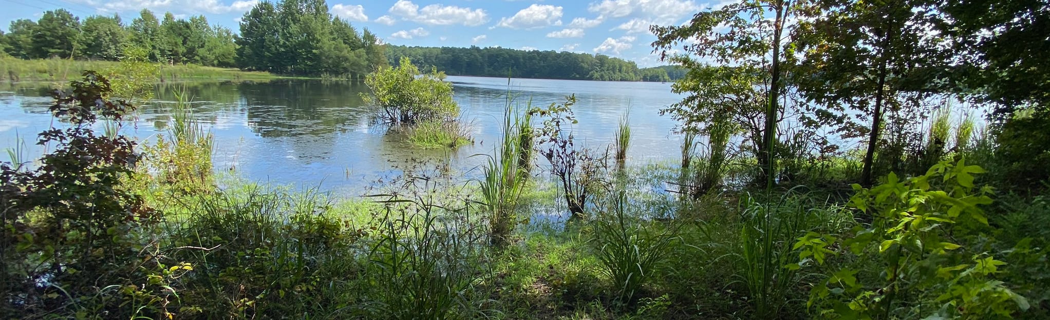 Lake Horton North and South Loop | Map, Guide - Georgia | AllTrails