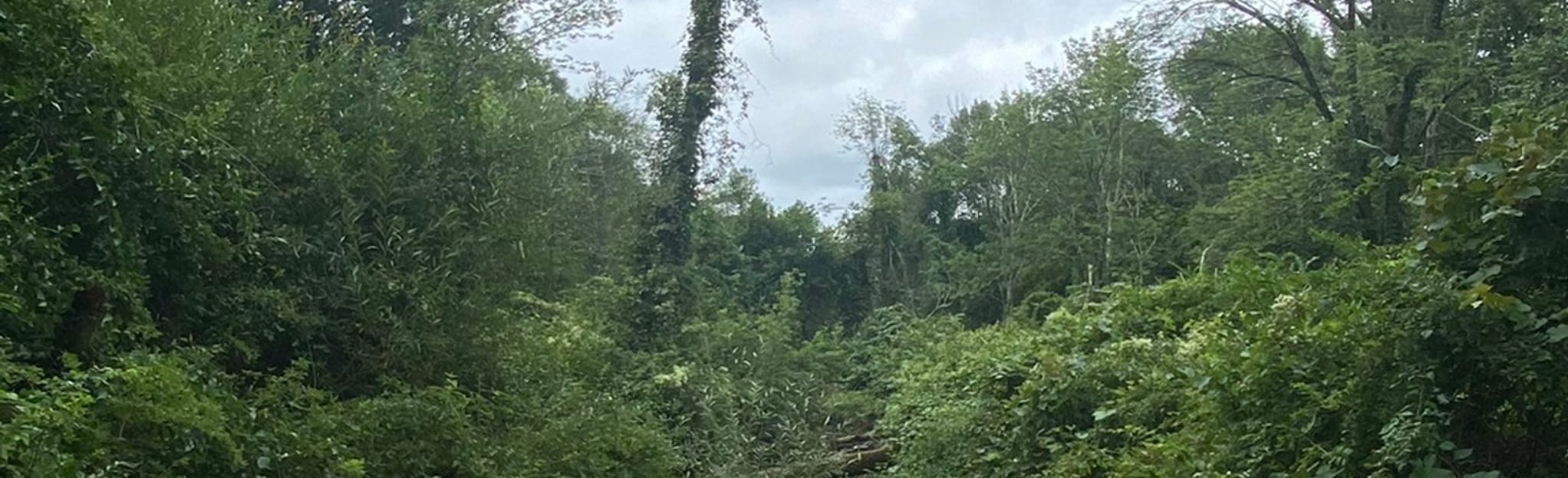 AllTrails | Randolph Trails (Old Brookside Road and Heistein Park) and ...