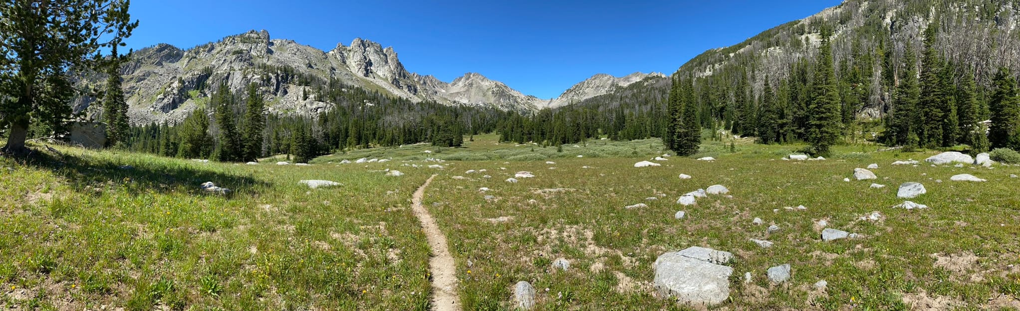 Bear Basin: 67 Reviews, Map - Montana | AllTrails