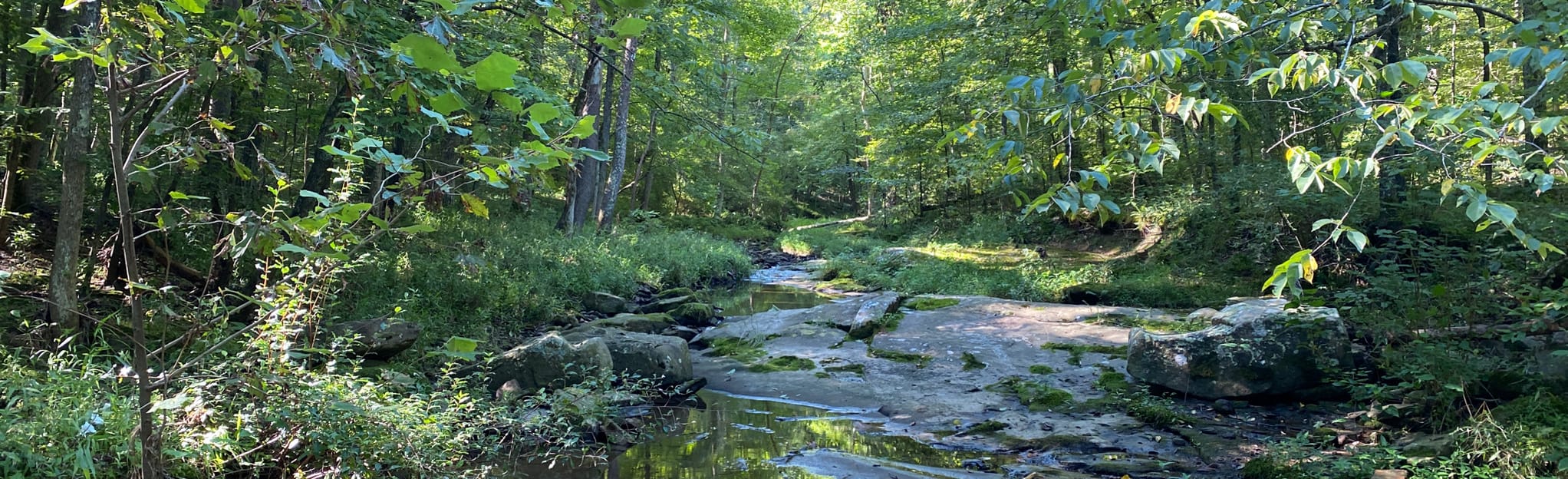 River to River Trail: Sections 19 and 20, Illinois - 39 Reviews, Map ...