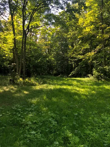 Best Hikes and Trails in Highland Forest Park | AllTrails