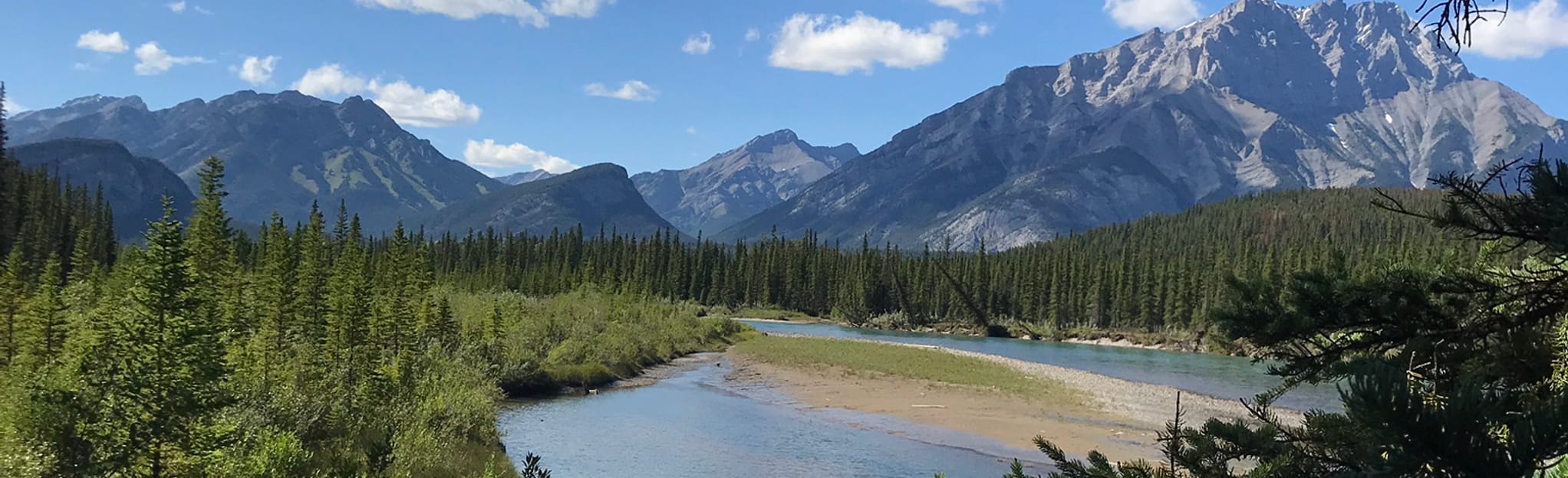 Rundle Riverside Trail, Alberta, Canada - 78 Reviews, Map | AllTrails