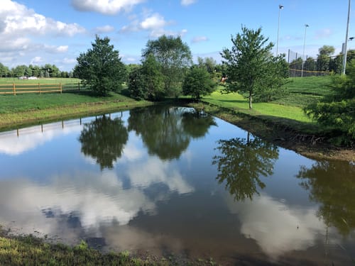Best Hikes and Trails in Utica Park | AllTrails