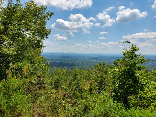 Best Hikes and Trails in Coldwater Mountain State Forest | AllTrails
