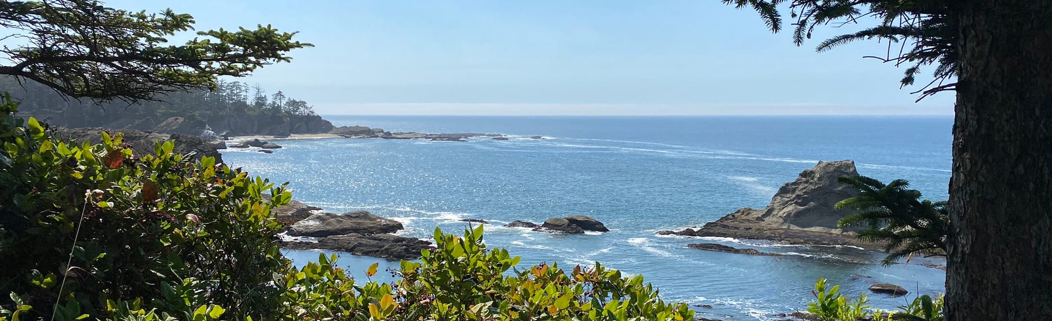 Sunset Bay, Oregon - 111 Reviews, Map | AllTrails