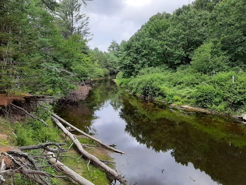 Best Hikes and Trails in Crooked River Forest Preserve - Intervale ...