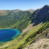 Mount Furlong Trail, Montana - 12 Reviews, Map | AllTrails