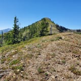 Mount Furlong Trail, Montana - 12 Reviews, Map | AllTrails