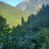 Mount Furlong Trail, Montana - 12 Reviews, Map | AllTrails
