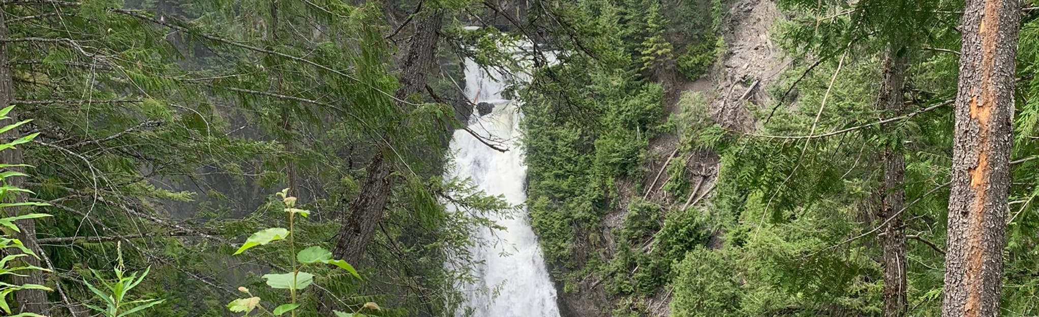 Deception Falls, British Columbia, Canada - 22 Reviews, Map | AllTrails