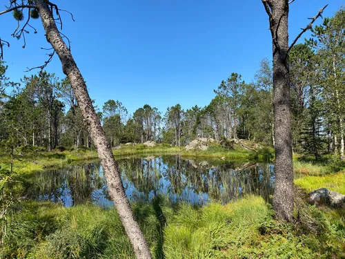 10 Best Trails and Hikes in Bergen | AllTrails