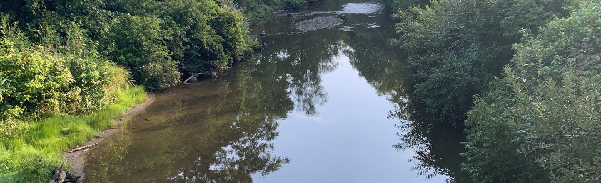 Forwell Trail to Hillside Reserve: 110 foto's - Ontario, Canada ...