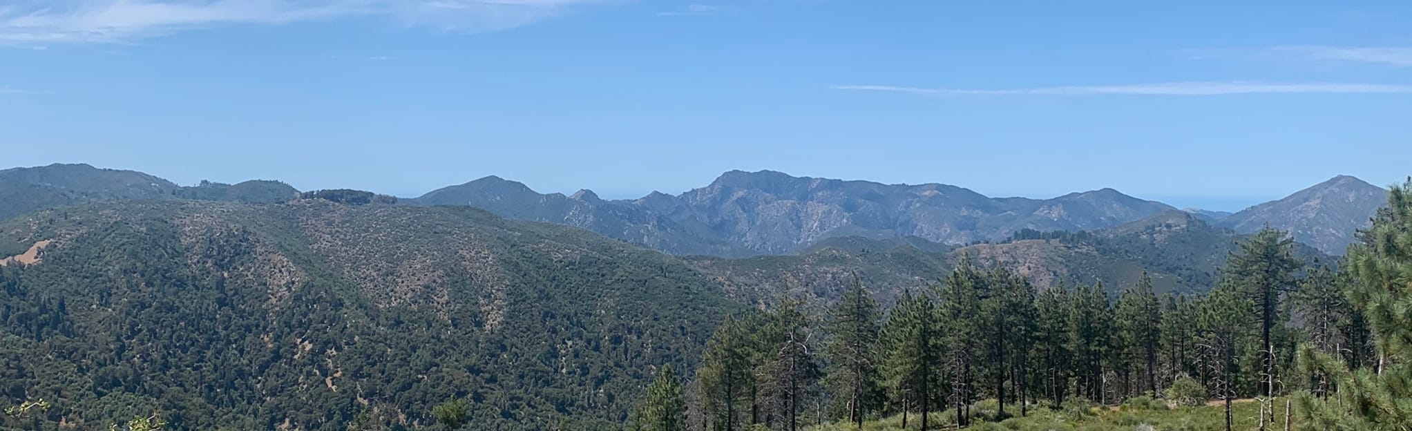 Chews Ridge Road, California - 21 Reviews, Map | AllTrails