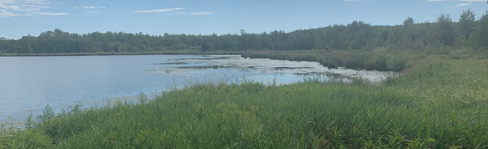 Fielding Park Loop, Ontario, Canada - 48 Reviews, Map | AllTrails