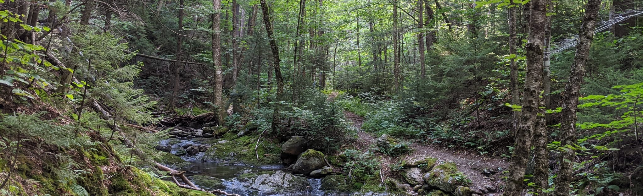 Clark Brook Trail: 28 Reviews, Map - Vermont | AllTrails