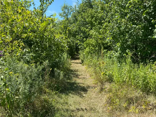 Best Hikes and Trails in Grabill | AllTrails