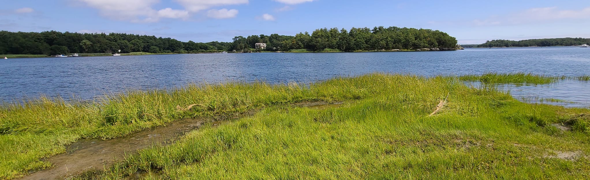 Deer Island Loop, Massachusetts - 40 Reviews, Map | AllTrails