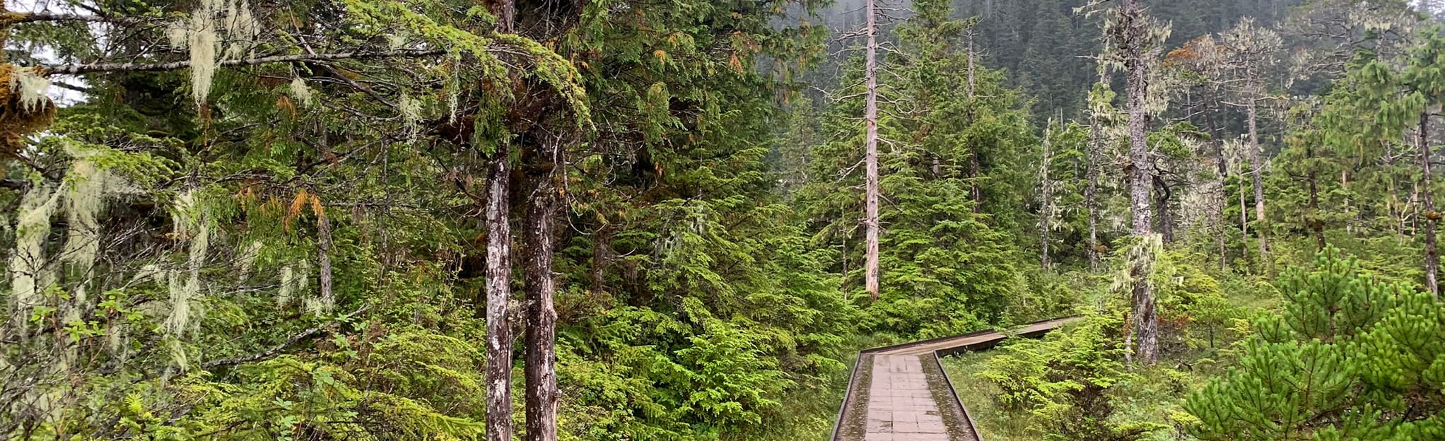 Ben Grussendorf Forest and Muskeg Trail, 33 Fotos - Alaska | AllTrails