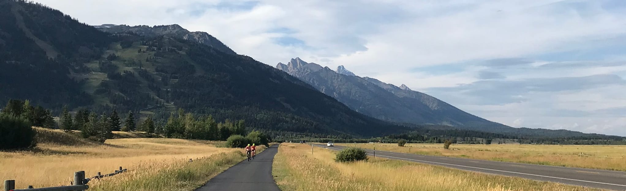 Moose - Wilson Pathway: 101 foto - Wyoming | AllTrails