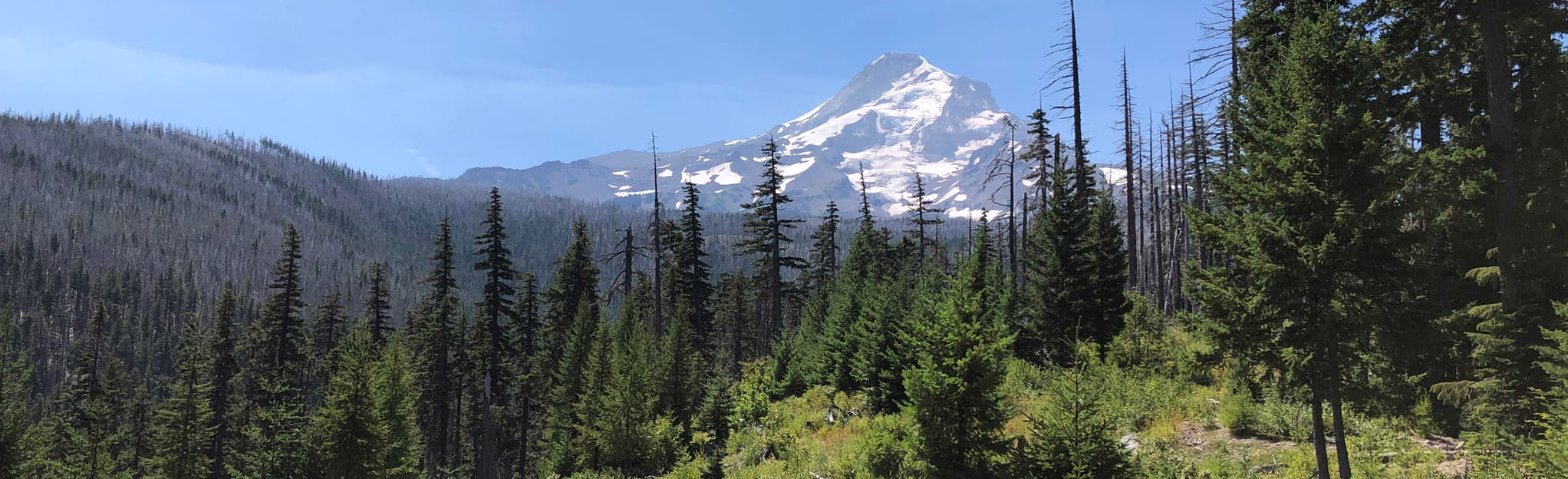 Pinnacle Ridge Trail, Oregon - 48 Reviews, Map | AllTrails