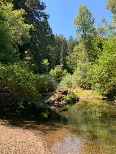 Best 10 Hikes and Trails in Samuel P. Taylor State Park | AllTrails