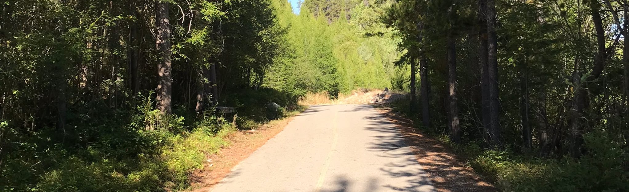 Peak to Platzl Trail: 39 Reviews, Map - British Columbia, Canada ...