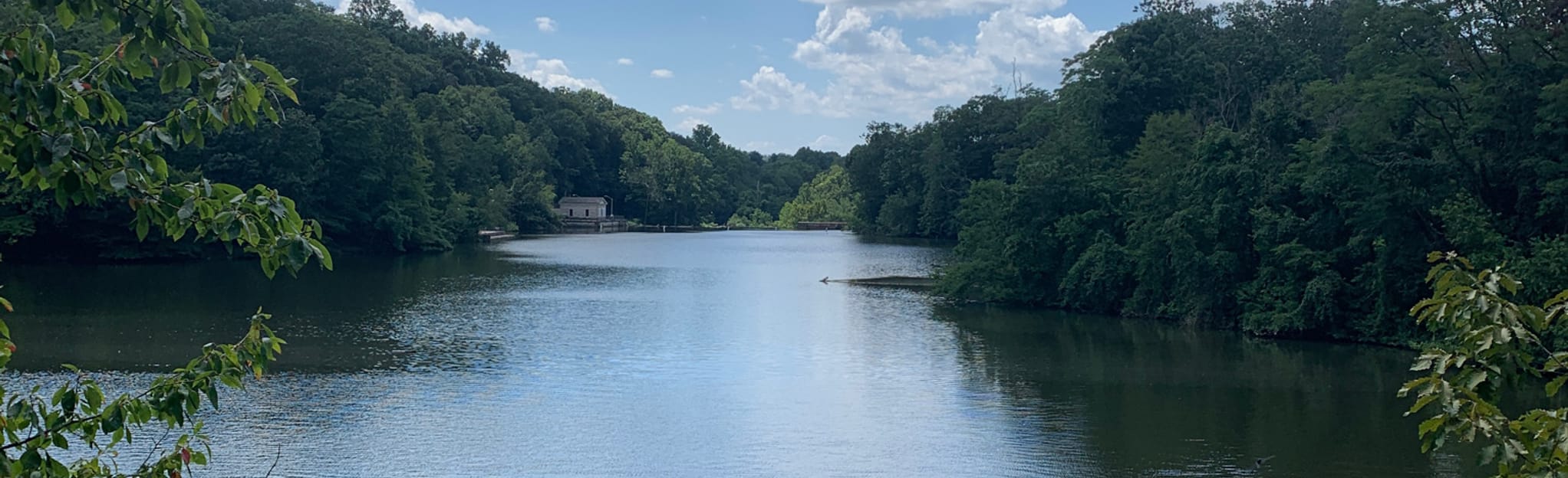 Lake Roland Park Pink Trail: 279 Reviews, Map - Maryland | AllTrails