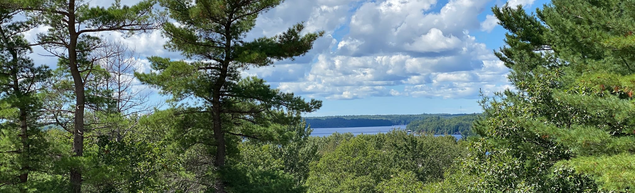 Huckleberry Rock Lookout Trail | Map, Guide - Ontario, Canada | AllTrails