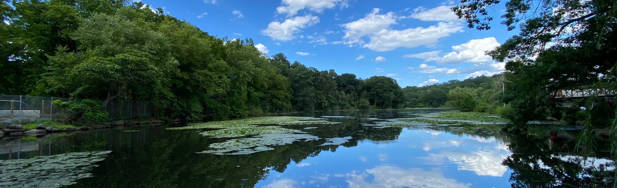 Van Cortlandt Park Trail: 310 Reviews, Map - New York | AllTrails