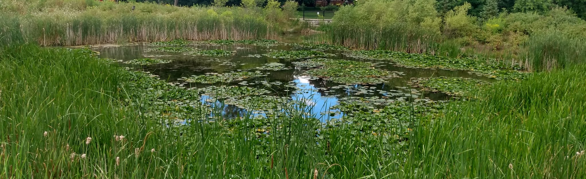 Stanley Park Conservation Area Trail: 108 Reviews, Map - Ontario ...