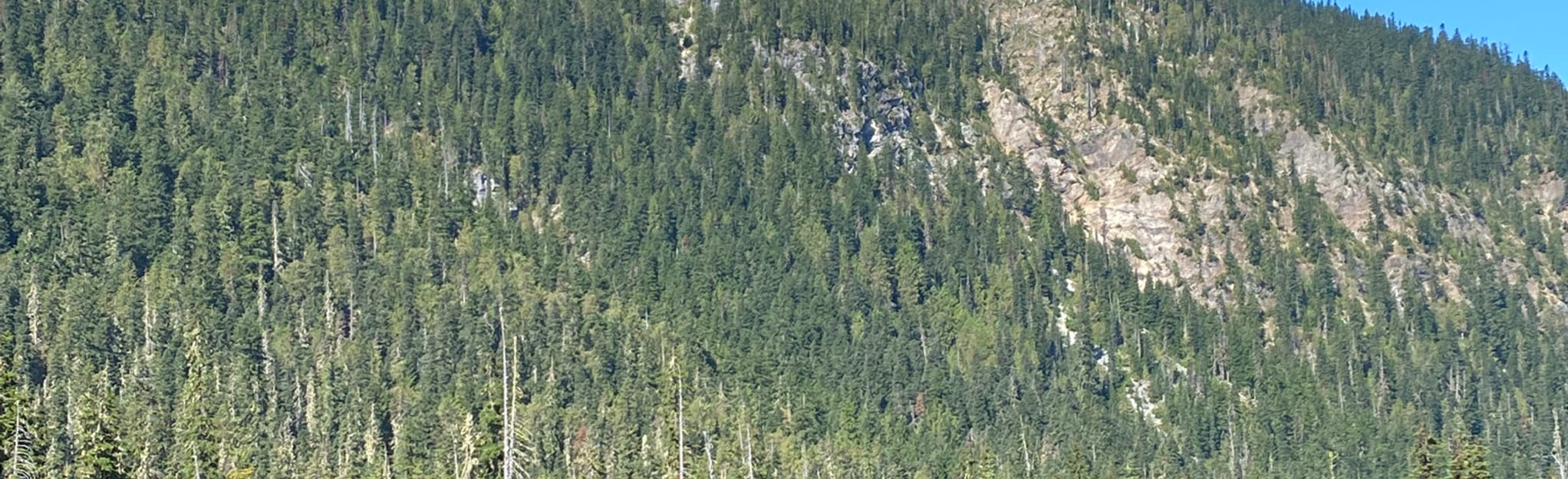 Hyas Lake Trail | Mapa, Roteiro - Washington | AllTrails