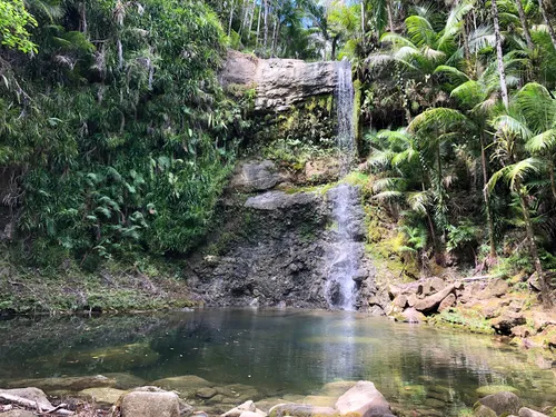 10 Best Trails and Hikes in Guam | AllTrails