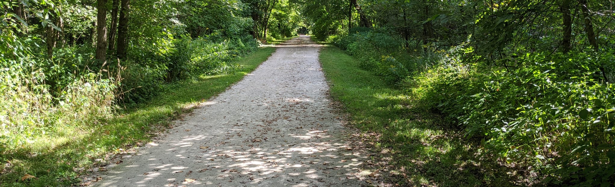 Grindstone Nature Area Loop: 315 Reviews, Map - Missouri | AllTrails