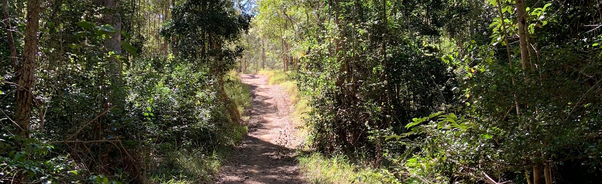 Ironbark Track Southern Loop, Queensland, Australia - 15 Reviews, Map ...