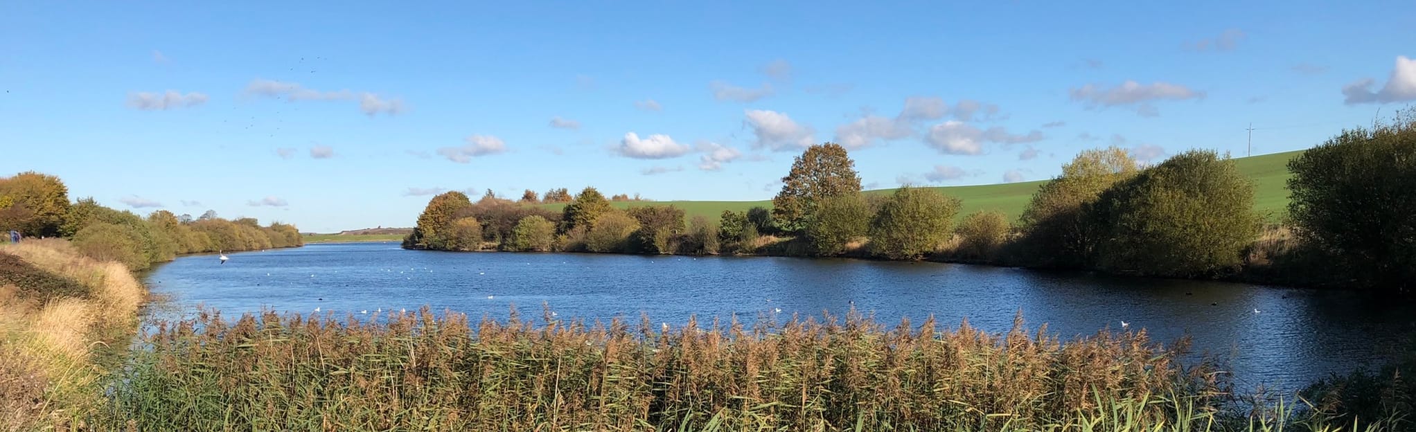 Thrybergh Reservoir Circular: 120 Reviews, Map - South Yorkshire ...