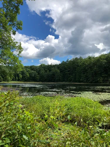Best Hikes and Trails in Chenango Valley State Park | AllTrails