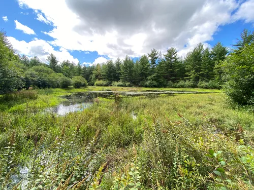 Best Hikes and Trails in Carp Hills Municipal Nature Reserve | AllTrails