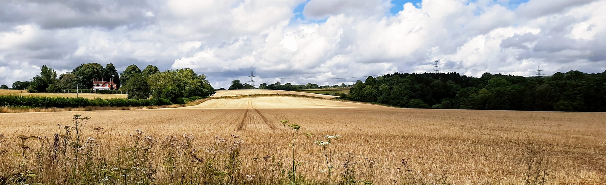 Midhurst and Stedham Circular, West Sussex, England - 38 Reviews, Map ...